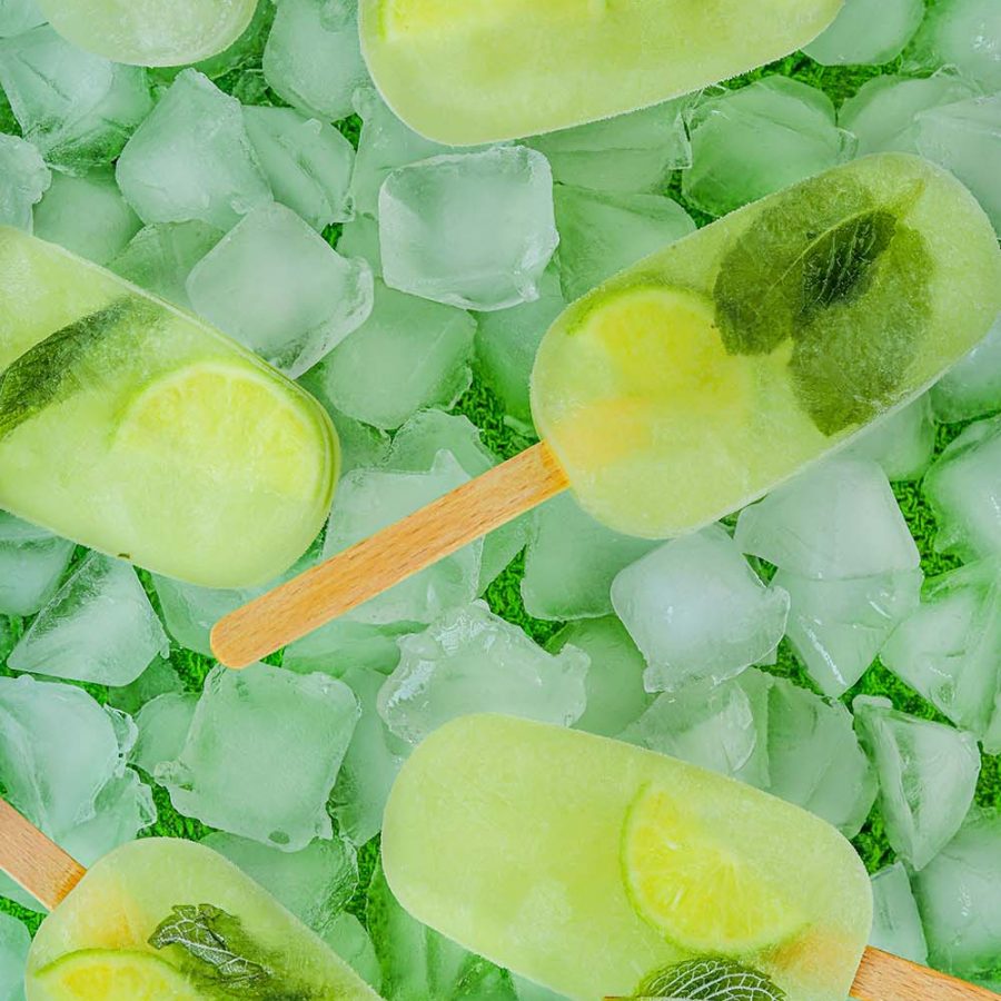 THMVI: Mojito Ice Blocks - Skinnymixers